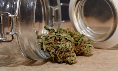 How To Dry and Cure Weed - The Ultimate Guide & FAQ